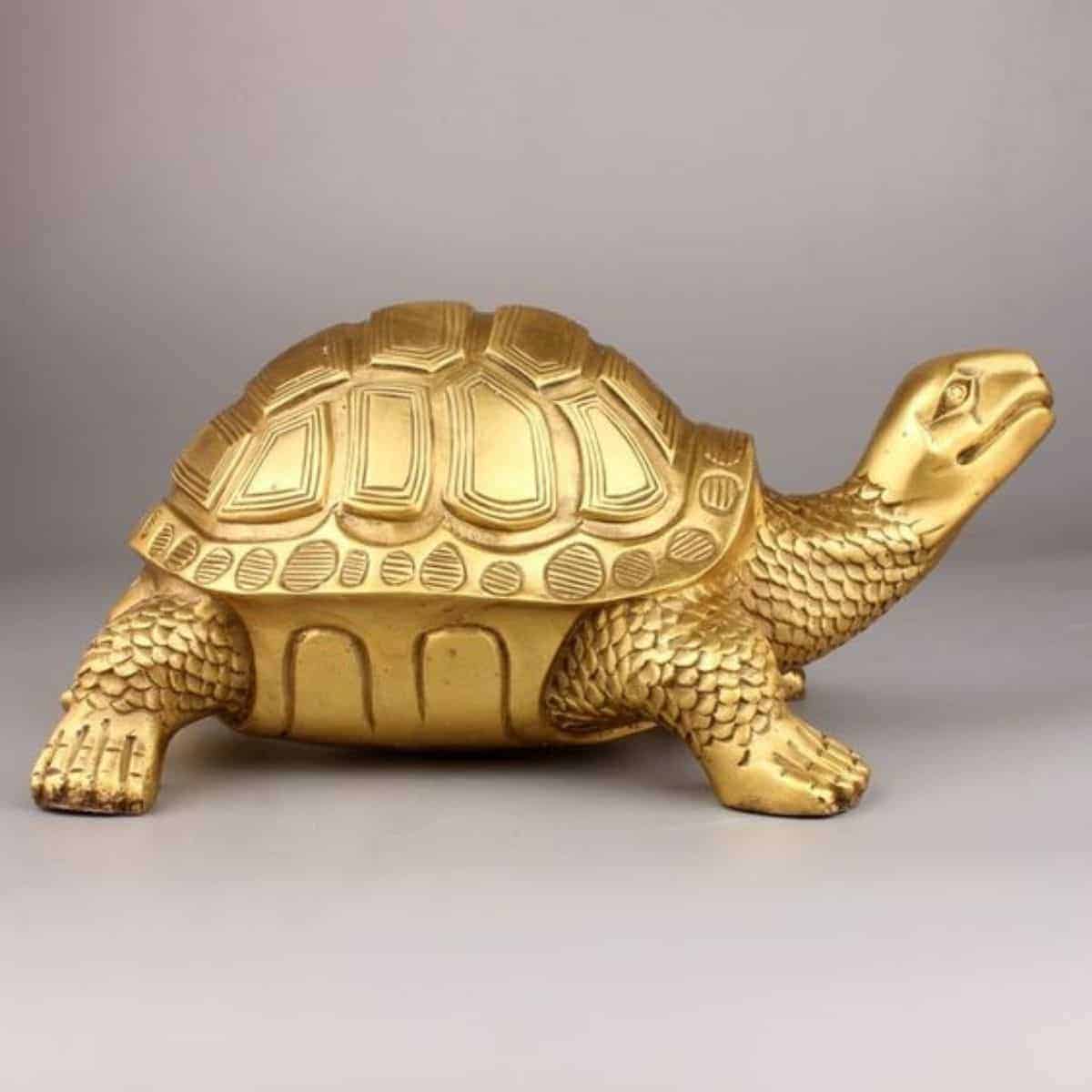 Turtle in Feng Shui: Placement, Symbol and Meaning | Honest Home Talks